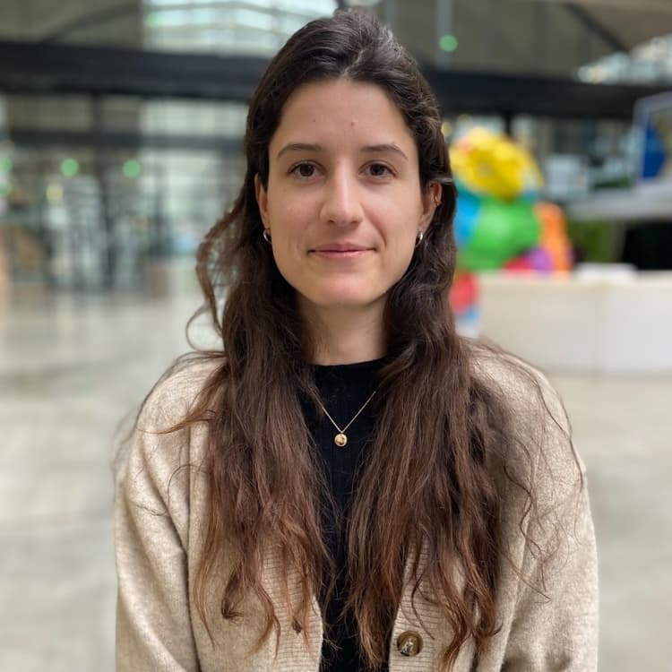 NIF, NIE, DNI, CIF in Spain: The Complete 2025 Guide | Hiliv